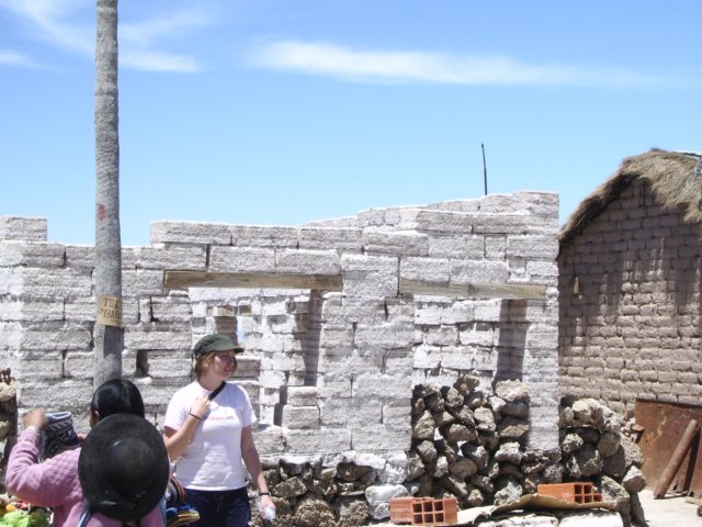 Salt block building
